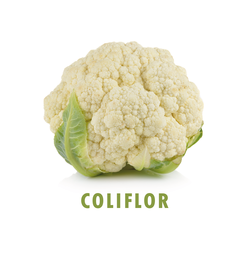 Tipos de Plantin | Plantinera Aconcagua Limache S.A