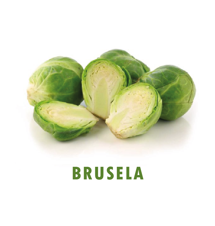 Tipos de Plantin | Plantinera Aconcagua Limache S.A